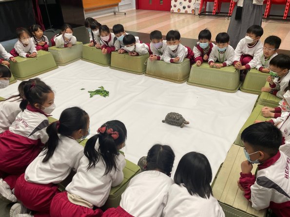 IMG_9799 | 小一 | 4月4日_創意日(二) | 4月份 | 2022-2023年度 | 活動剪影